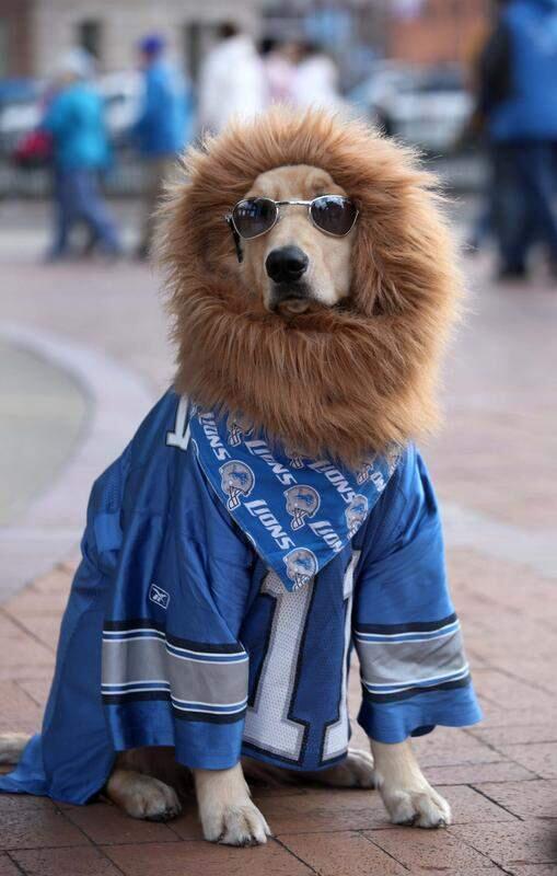 Billy Palmer Dog