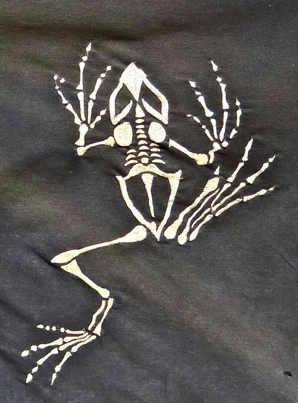 Bone Frog Logo