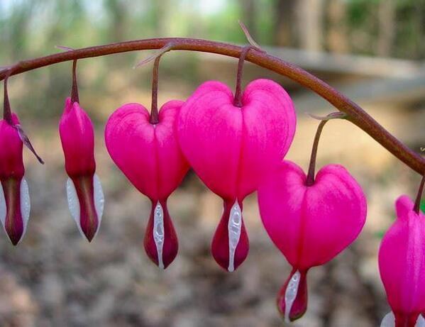 Gyghy : Join facebook to connect with rtytr gyghy and others you may ...