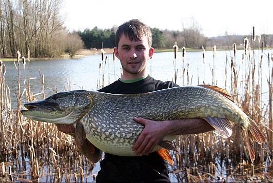Record Pike