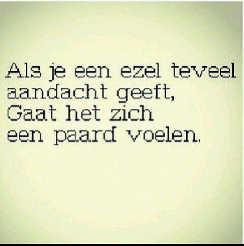Ezel Quotes