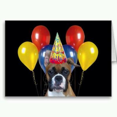 Happy Birthday Boxer Dog Funny