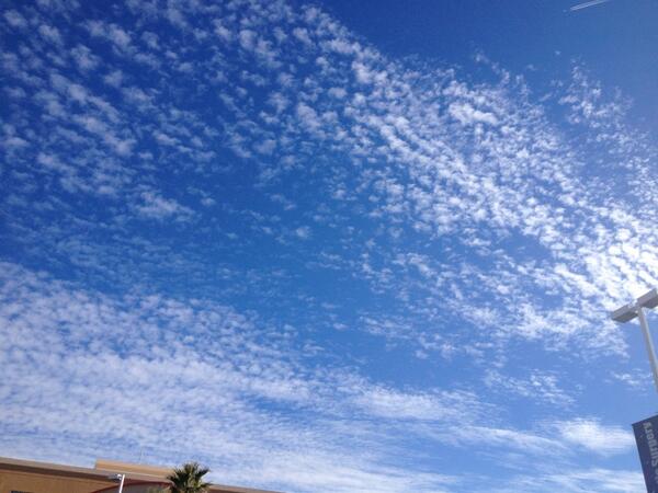 Ron Locklear (@RonLocklear) | Twitter