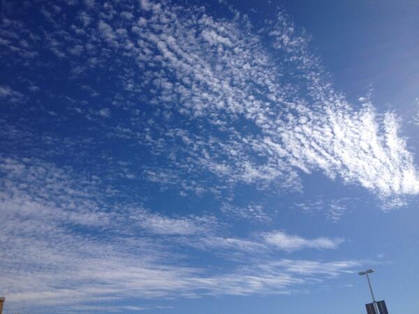 Ron Locklear (@RonLocklear) | Twitter