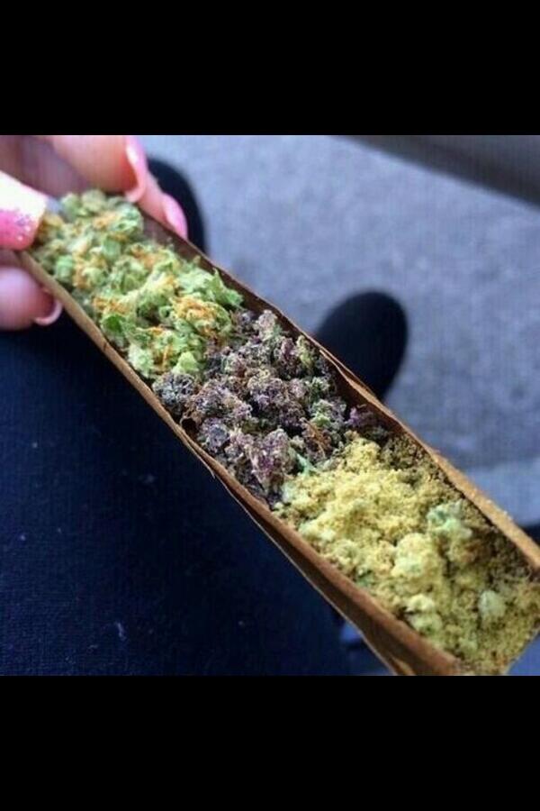 Rainbow Kush Blunt