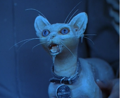 Went for a ride today and forgot how to ride. | Motorcycles and ...