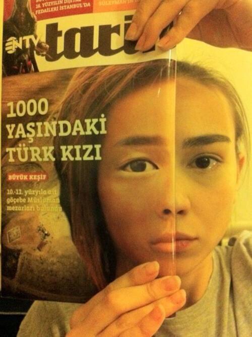 Classify some true Turanic Steppe specimen.