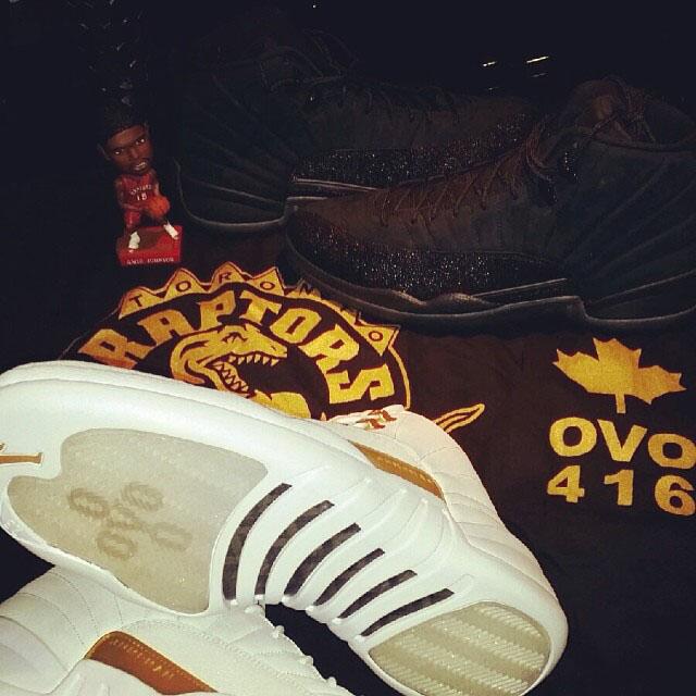 Drake Ovo Sneakers 12