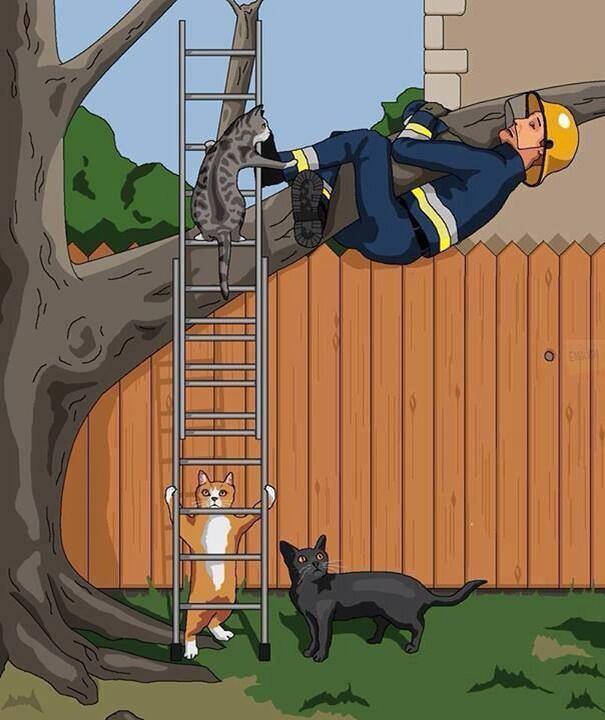 Firefighters Saving Cats Meme
