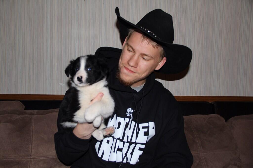 What Kind Of Dog Is Bandit