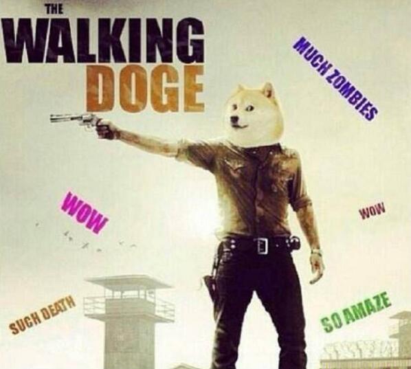 Such Wow So Amaze Meme