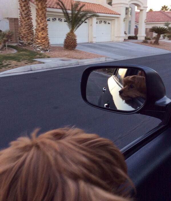 Scott Fischman's Tweets: Hendon Mob Poker Database