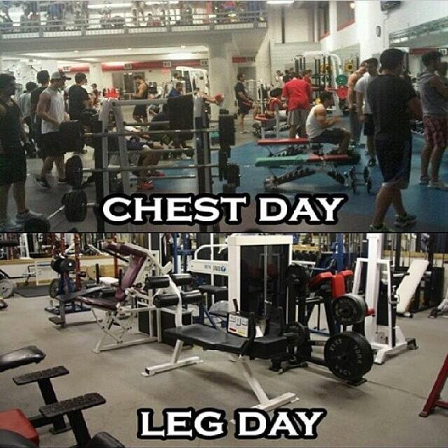Gym Memes Chest Day