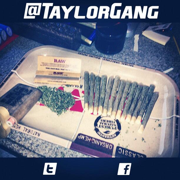 Tgod Logo Weed