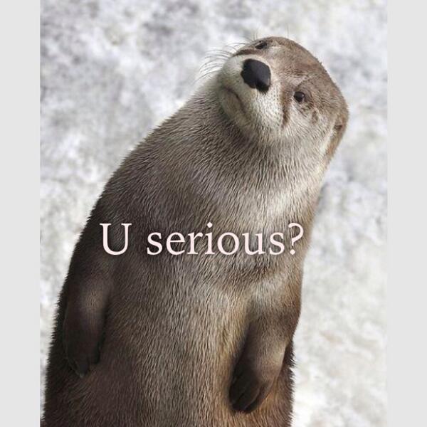 Sofia Nilsson (@Sofianilssonl) | Twitter