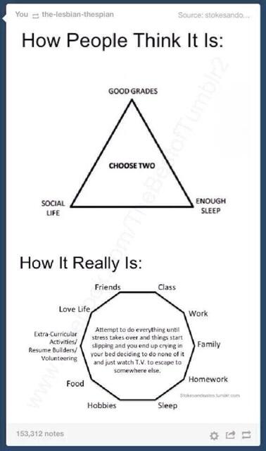College Life Triangle