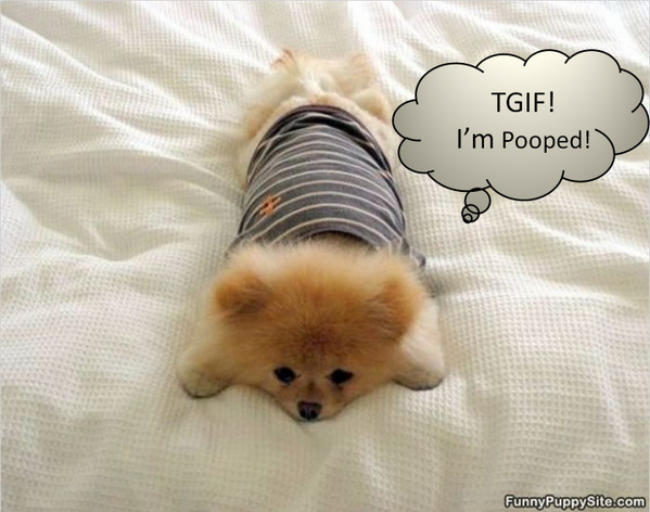 I M Pooped Out