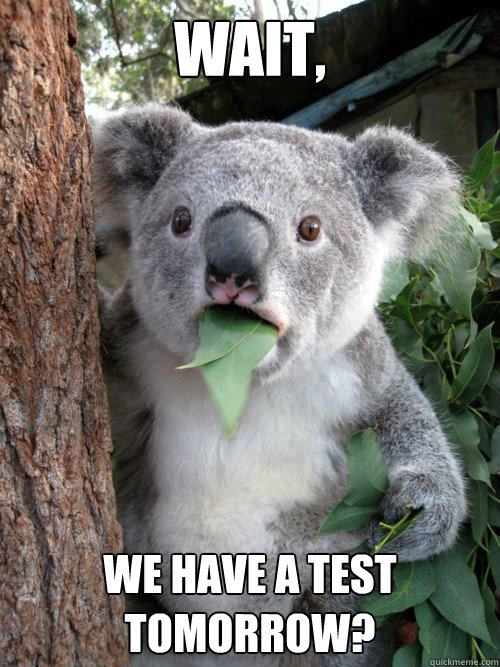 Cramming For Exams Meme