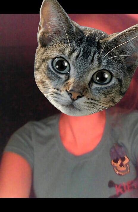 Catwang Head