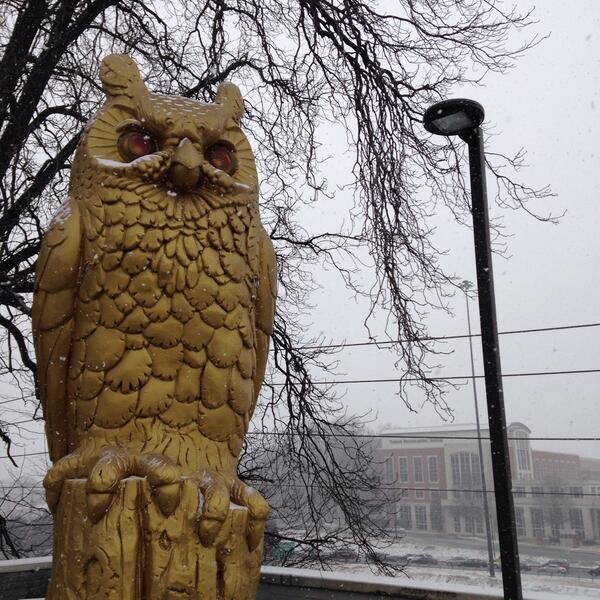 Illuminati Owl Statue