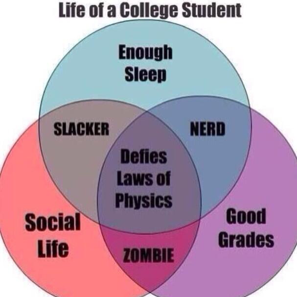 Slacker Student Meme