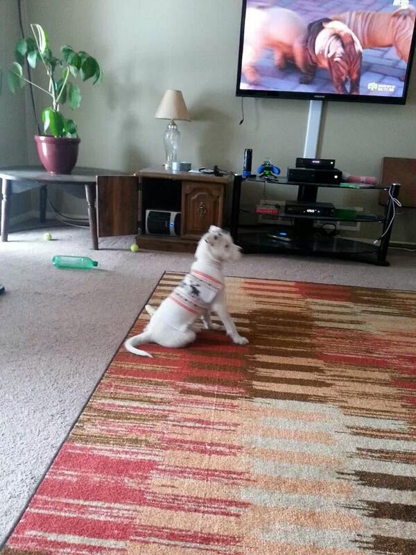 Cory Breen (@CoryBreen) | Twitter