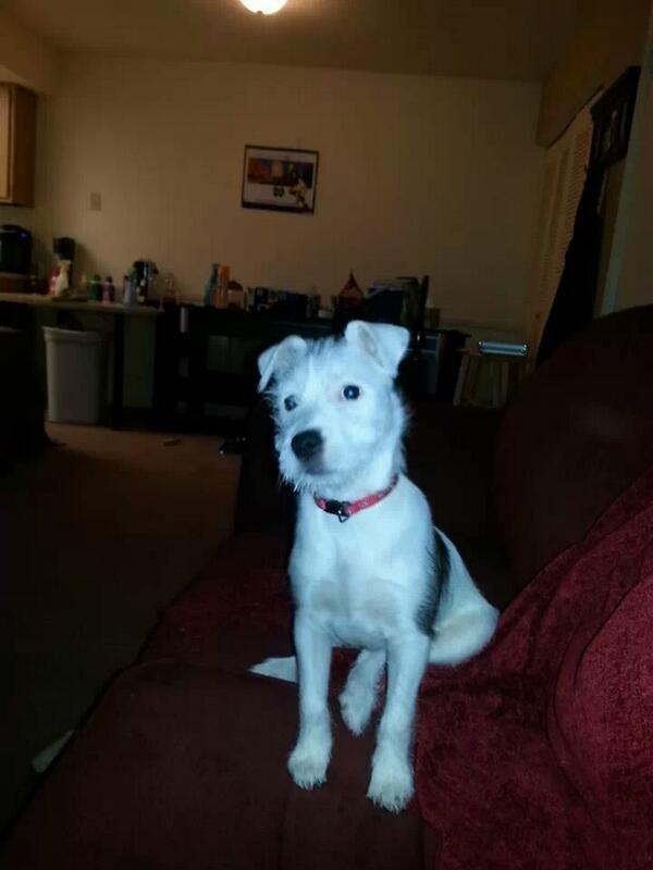 Cory Breen (@CoryBreen) | Twitter