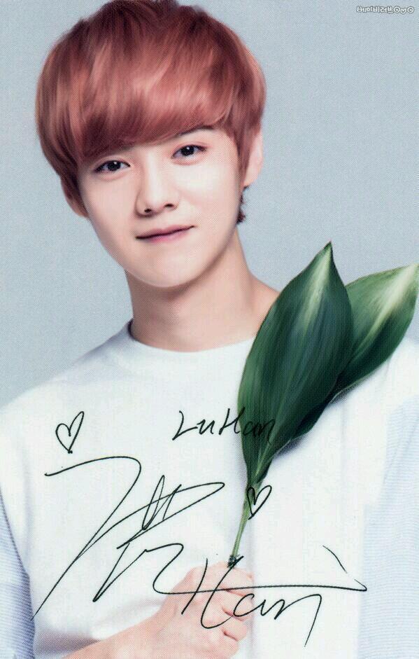 Luhan Nature Republic Photocard