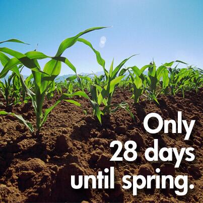 MN Corn Growers (@mncorn) Influencer Profile | Klear