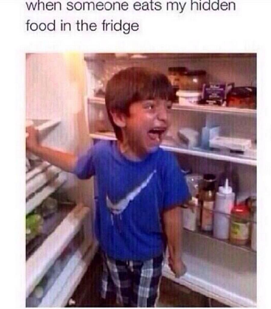 The Famous Food Stealer – The Pesky Pet Peeve