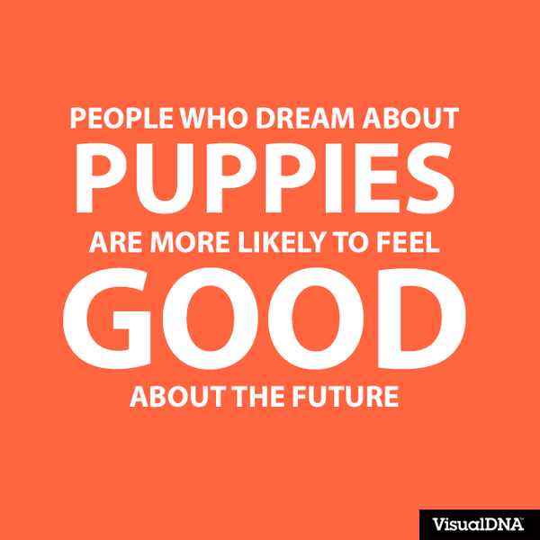 VisualDNA (@MyVisualDNA) | Twitter