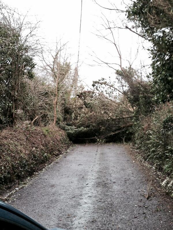 Maria Donegan's Instagram, Twitter & Facebook on IDCrawl