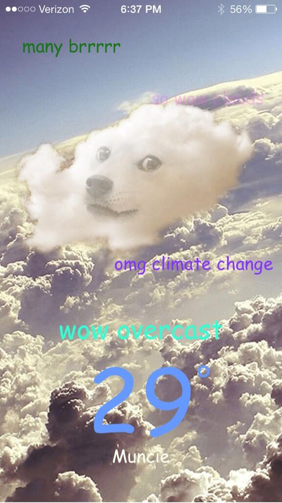 Weather Doge Memes Earn Up To $9999 A Day: AEON Mining Teaches You The