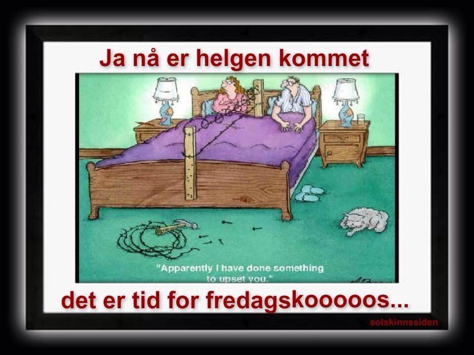 God Helg Memes Funny News In Norway During The Silly Season