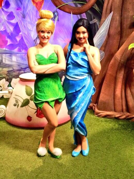 Tinkerbell And Friends Silvermist Costume