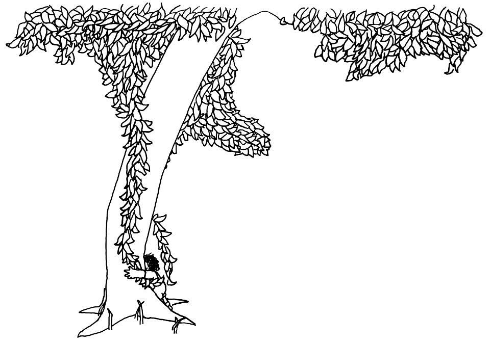 Shel Silverstein The Giving Tree Quotes