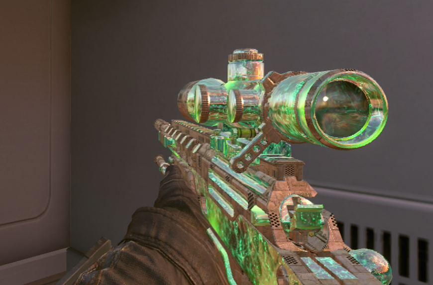 Advanced Warfare Camos Bo2