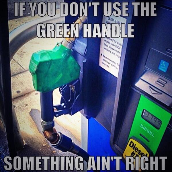 Earl Dibbles Jr Quotes Rachel Pring (@rmpride4horse) / X