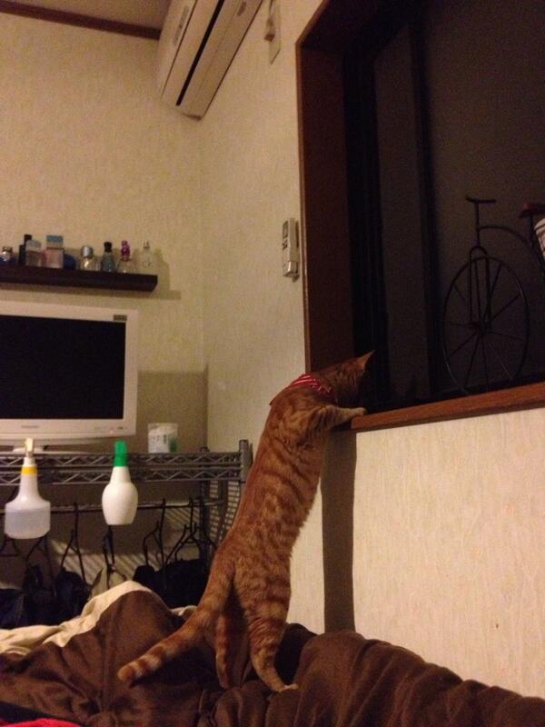 junji harada (@so_ro_) | Twitter