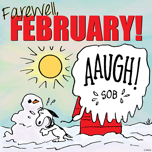 Snoopy Saying Goodbye Woodstock Goodbye To Snoopy In Tears By