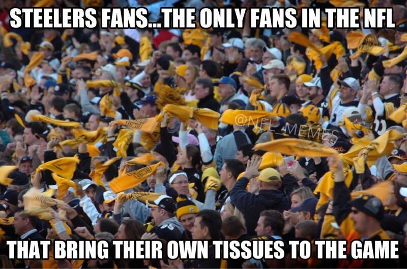 Steelers Fan Meme