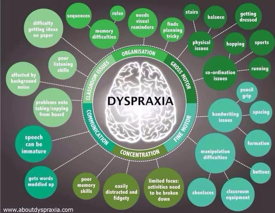 Dyspraxia Mind Map Dyscalculia Mind Map Dyspraxia | SexiezPix Web Porn