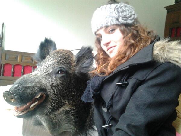 Vane (@Vane_kinta) | Twitter