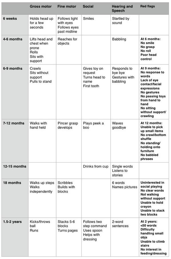 American Academy Of Pediatrics Developmental Milestones