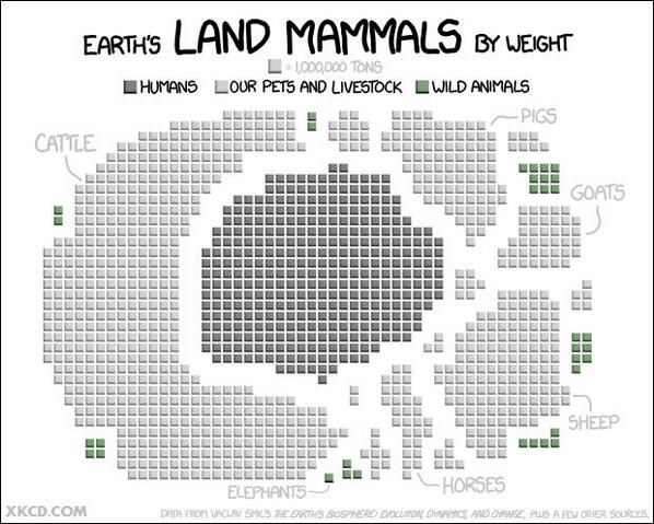 Terrestrial animal biomass then and now - Democratic Underground
