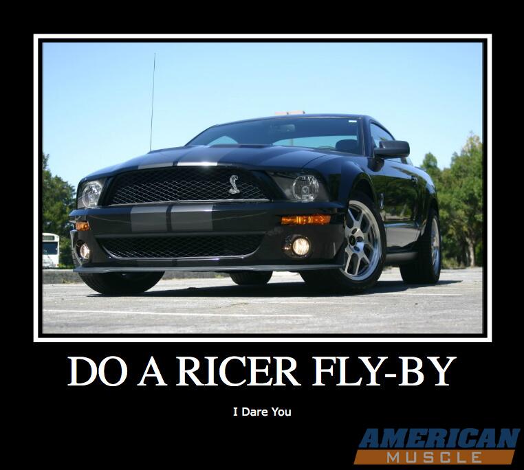 Ricer Mustang Meme