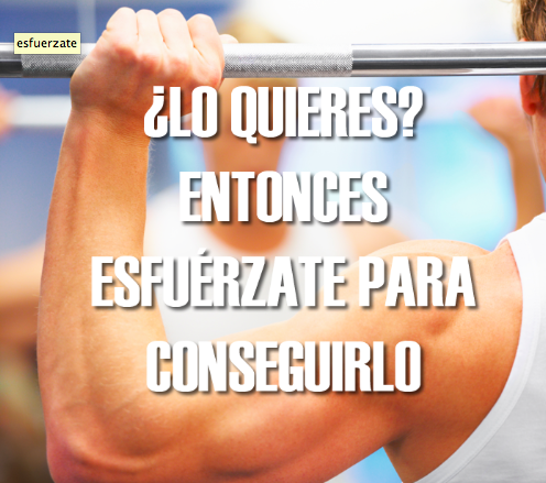 karla Renderos (@k_renderos) | Twitter