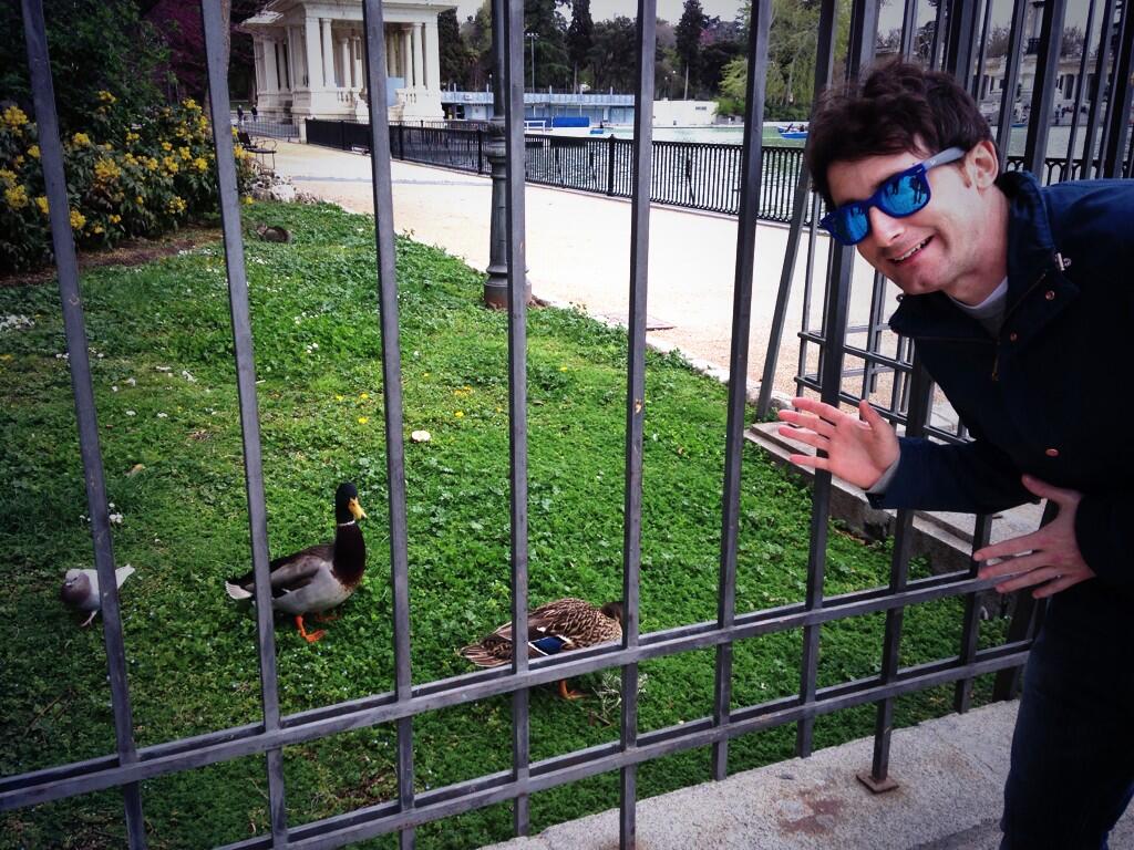 Luzu on Twitter: "Llama or Duck? Jajajaja http://t.co/inEoQ12Rjp"