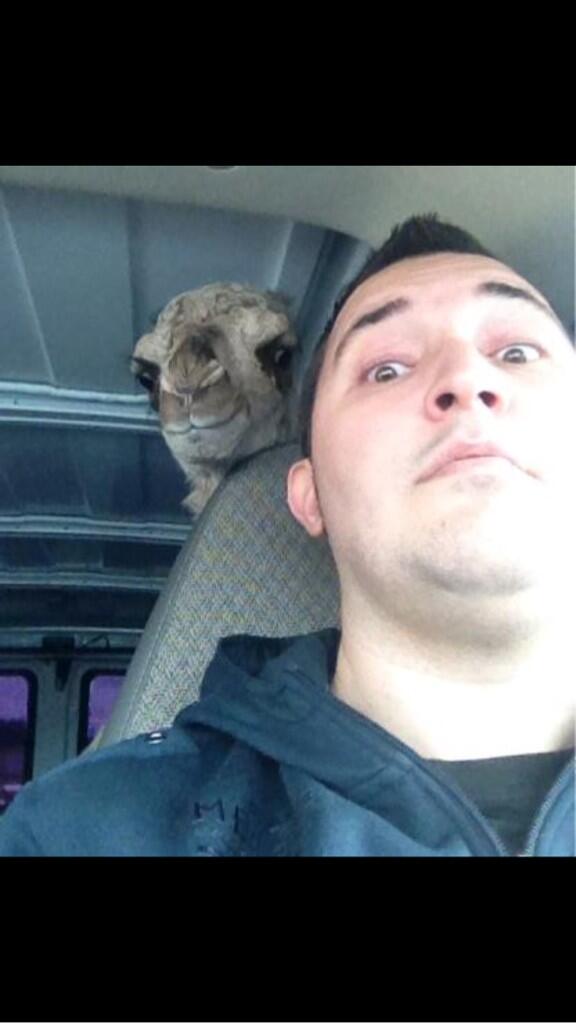 Julie Mascia's Instagram, Twitter & Facebook on IDCrawl