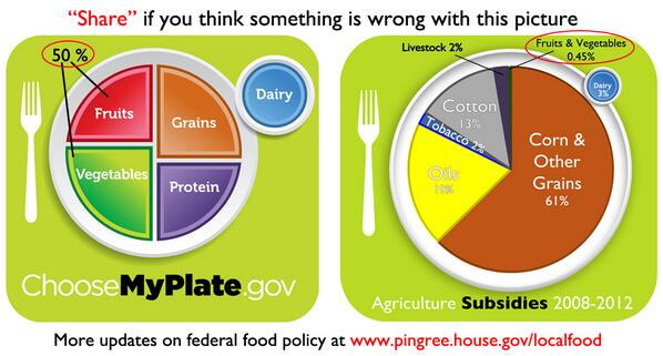 My Plate Percentages